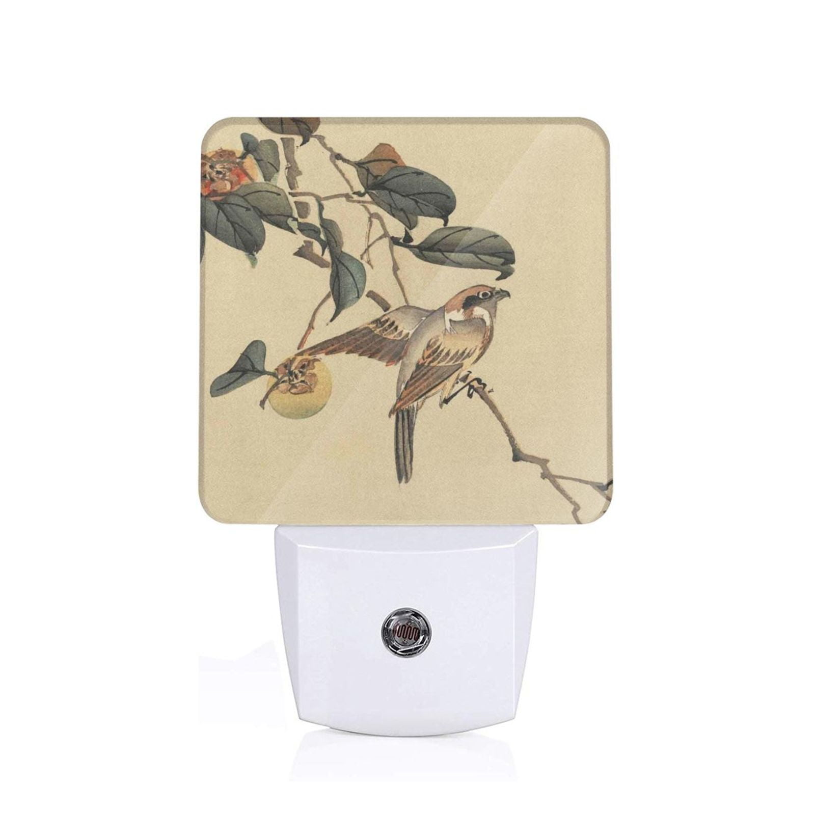 Uemuo Vintage Bird Night Light, Night Lights Plug into Wall, Dusk to ...