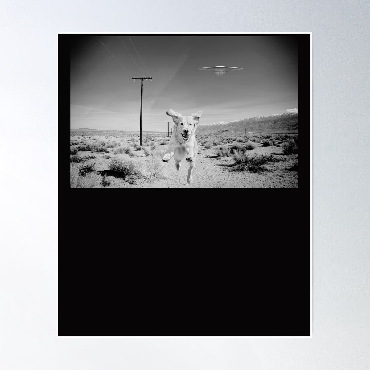 Ufo Running Golden Retriever Dog Abduction Poster Wall Art, Modern Wall ...
