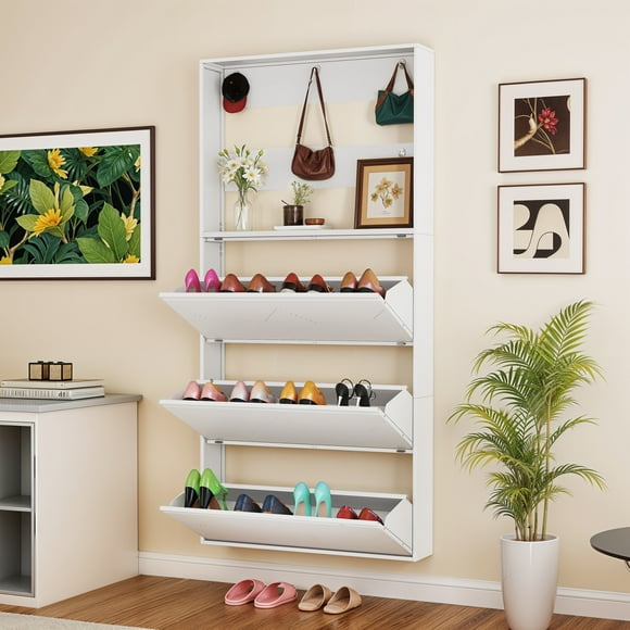 Wall Mounted Shoe Cabinet