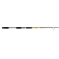 Free Shipping! Ugly Stik Bigwater 10' Medium Heavy Spinning Rod, 2 ...