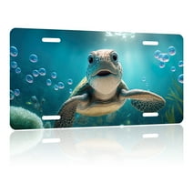 Sea Turtle License Plate Frame (Chrome) 5 Year Warranty - Walmart.com