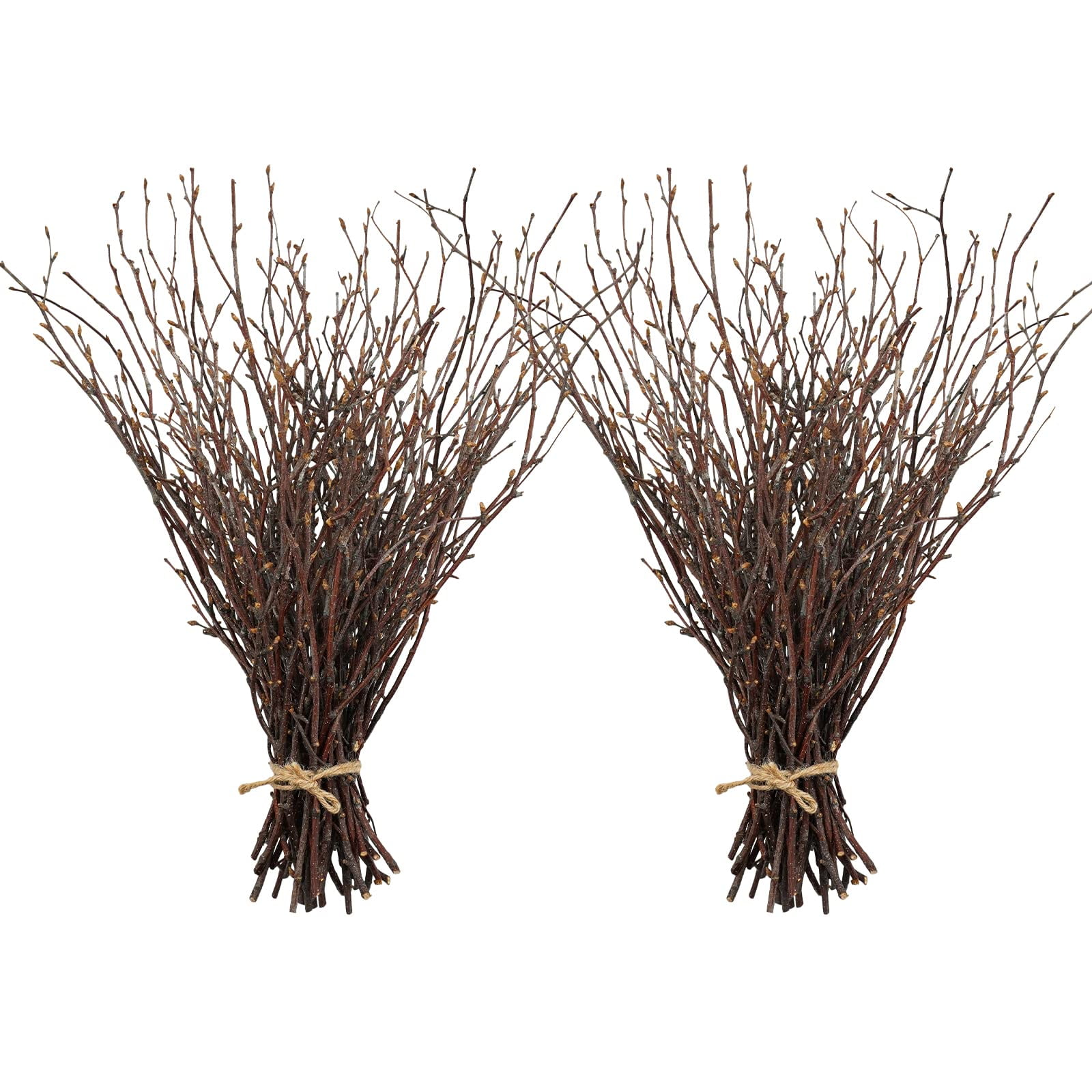 Uieke 100PCS Natural Dried Birch Twigs - 17 Inch Dried Plants ...