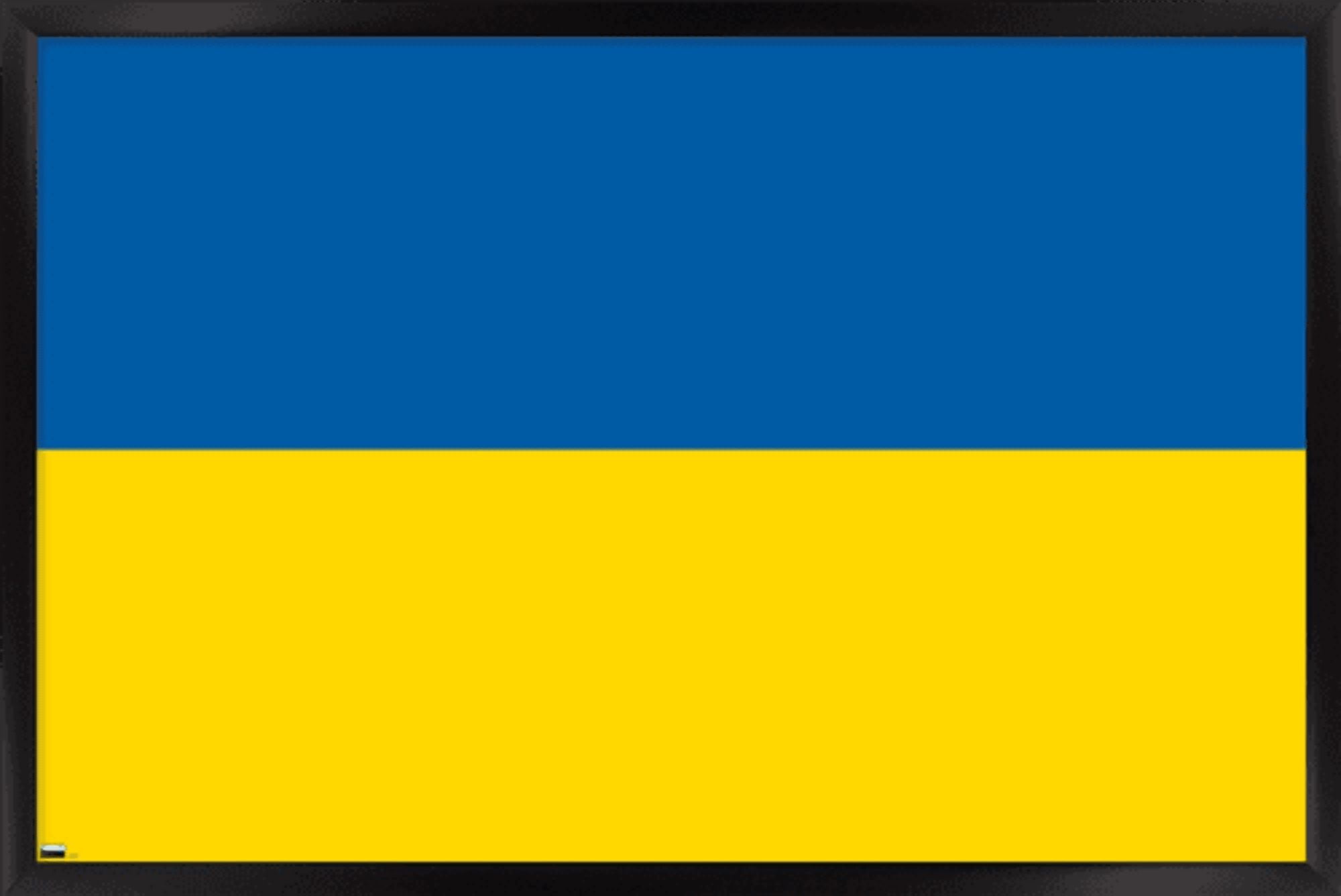 Ukrainian Flag Wall Poster, 22.375" x 34" Framed - Walmart.com