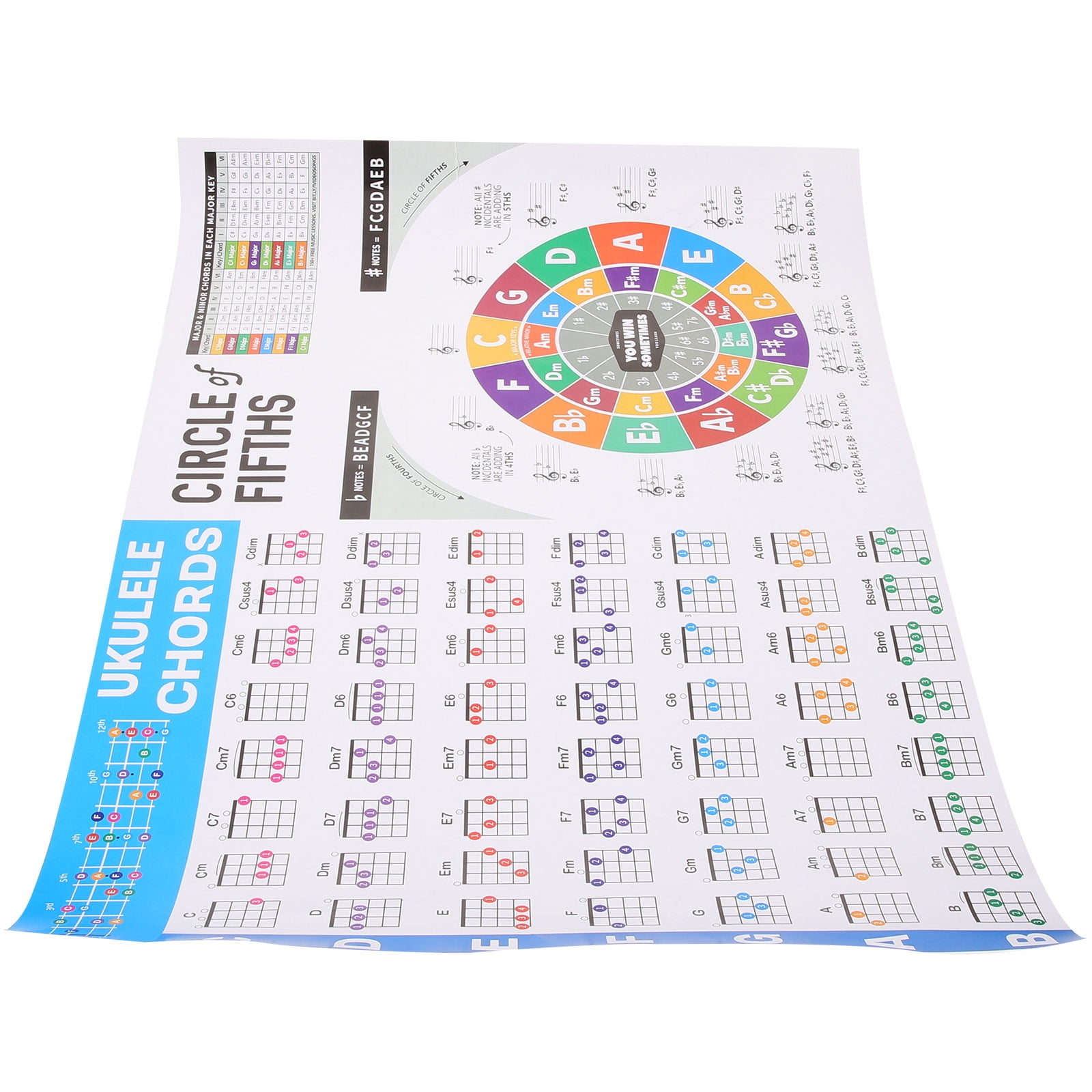 Ukulele Chord Tablature Chart For Music Theory Paper Poster Circle Of