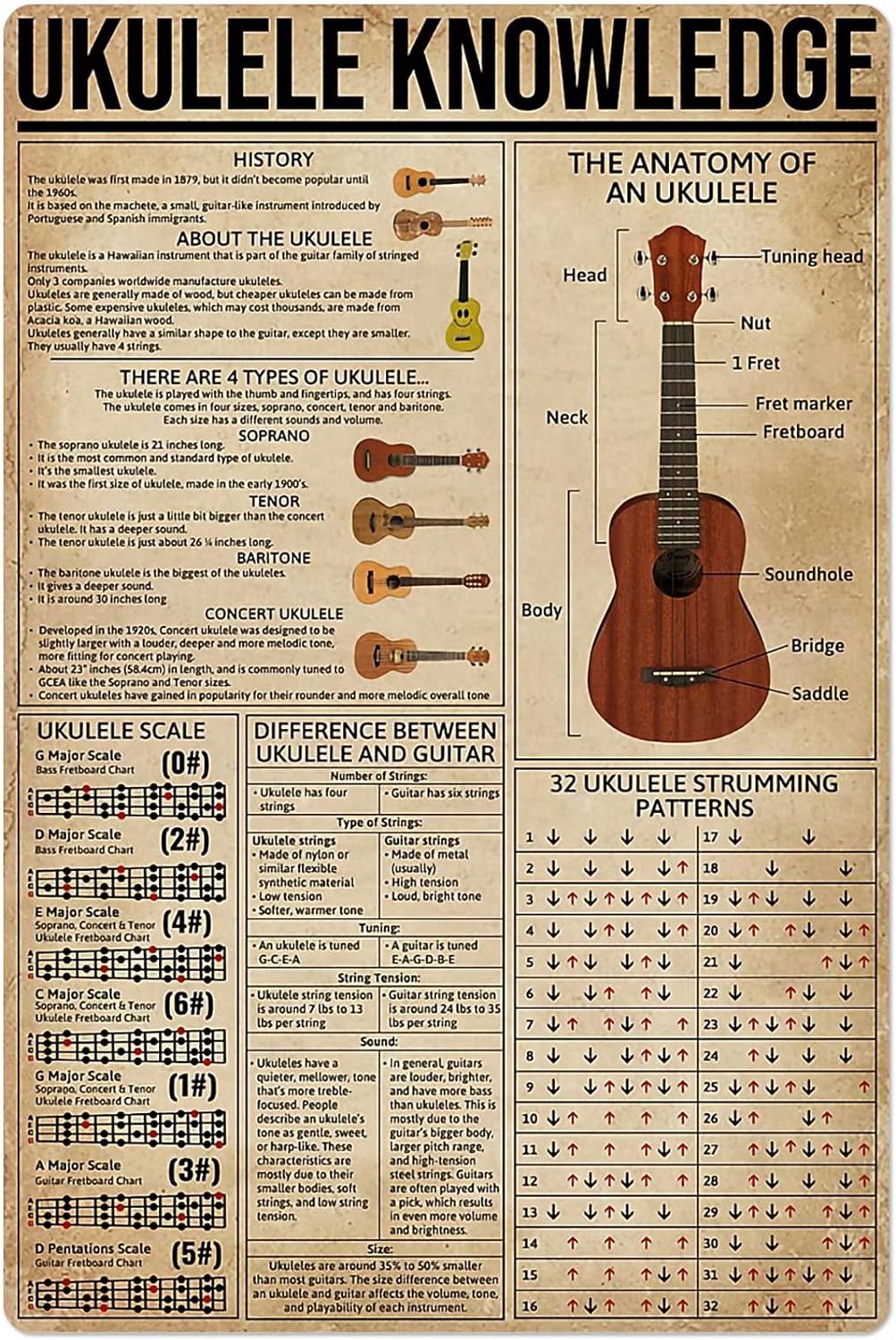 Ukulele Knowledge Metal Tin Sign Anatomy Chord Poster Musical ...