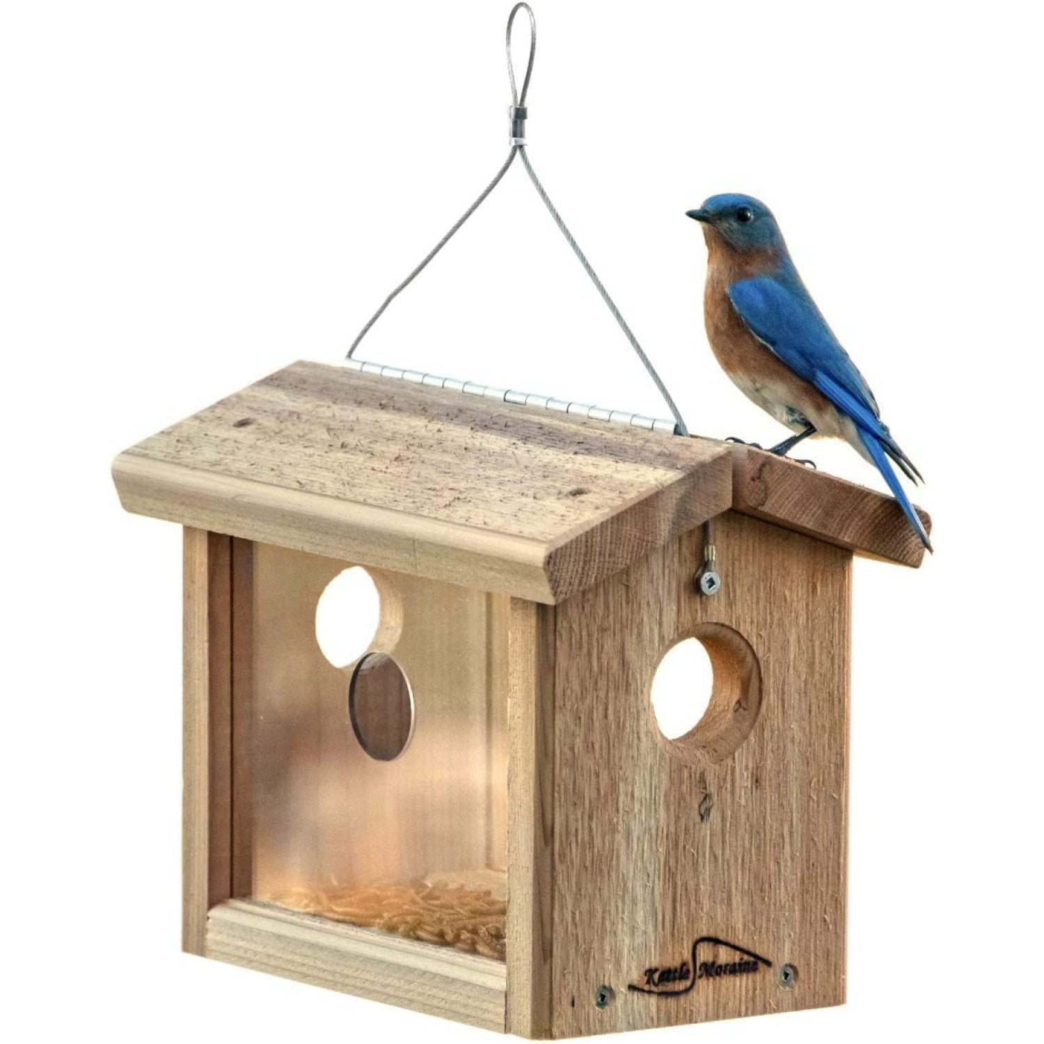 UlaREYoy Cedar Hanging Bluebird Mealworm Feeder, Bird Food Feeding ...