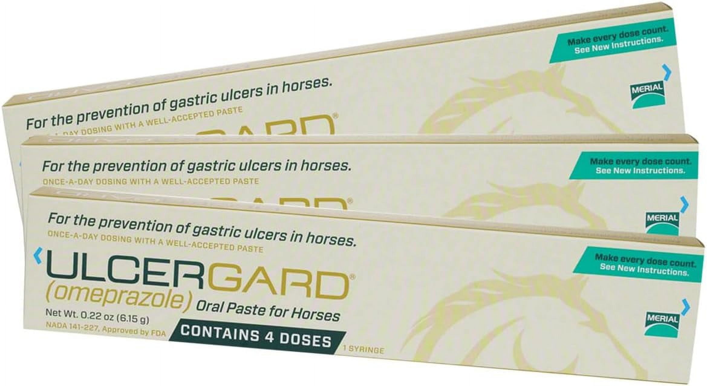 Ulcergard Paste, 3 Pack - Walmart.com