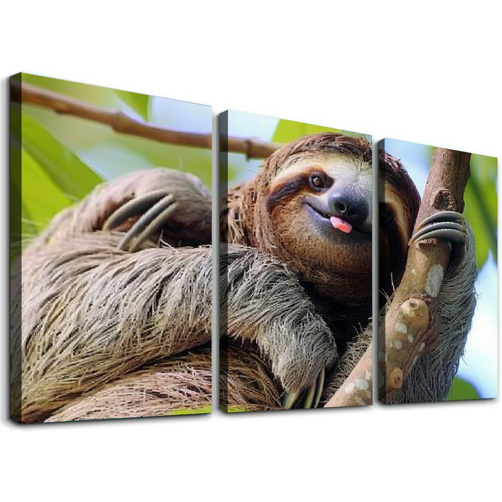 Ullo0ord Animal Lying Down Sloth Picture Decor Poster Wall Art Hanging ...