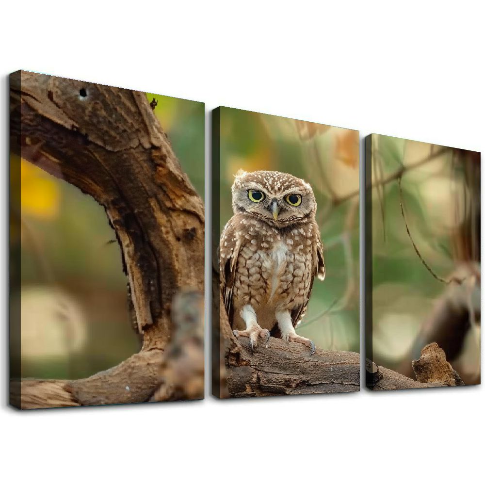 Ullo0ord Canvas Wall Art Painting One Panel Nature Spotted Owlet ...