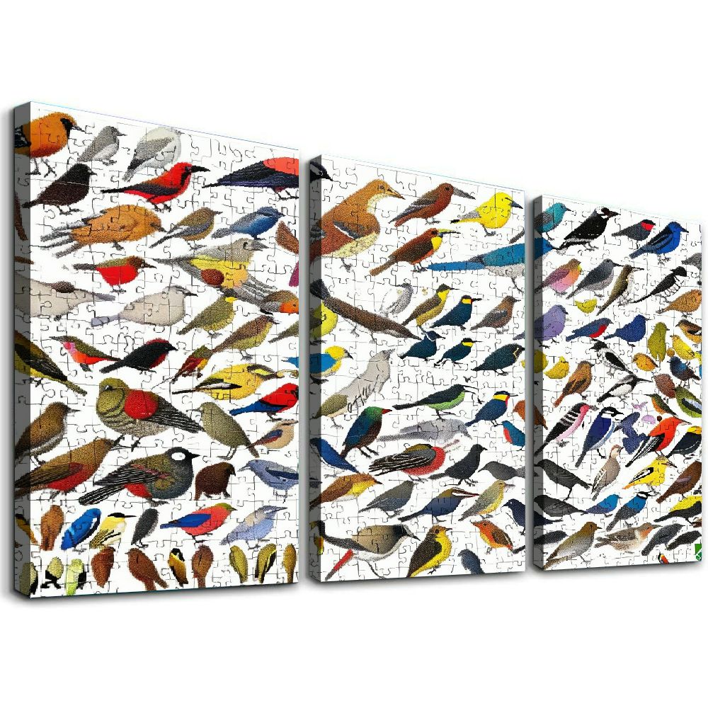 Ullo0ord Pop Chart | Birds of North America | Large-Format Poster ...