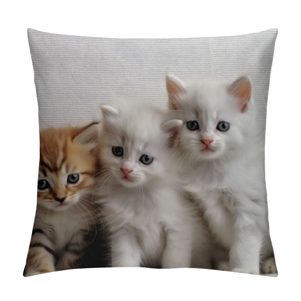 Ulloord Cute Cats Decorative Throw Pillow Cover Case, Kittens Family ...