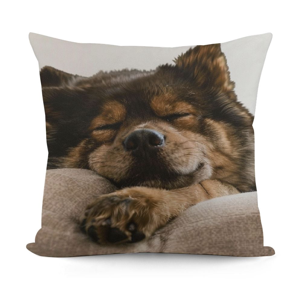 Ulloord Pet Memorial Throw Pillow Cover Innish Lapphund Decorative ...