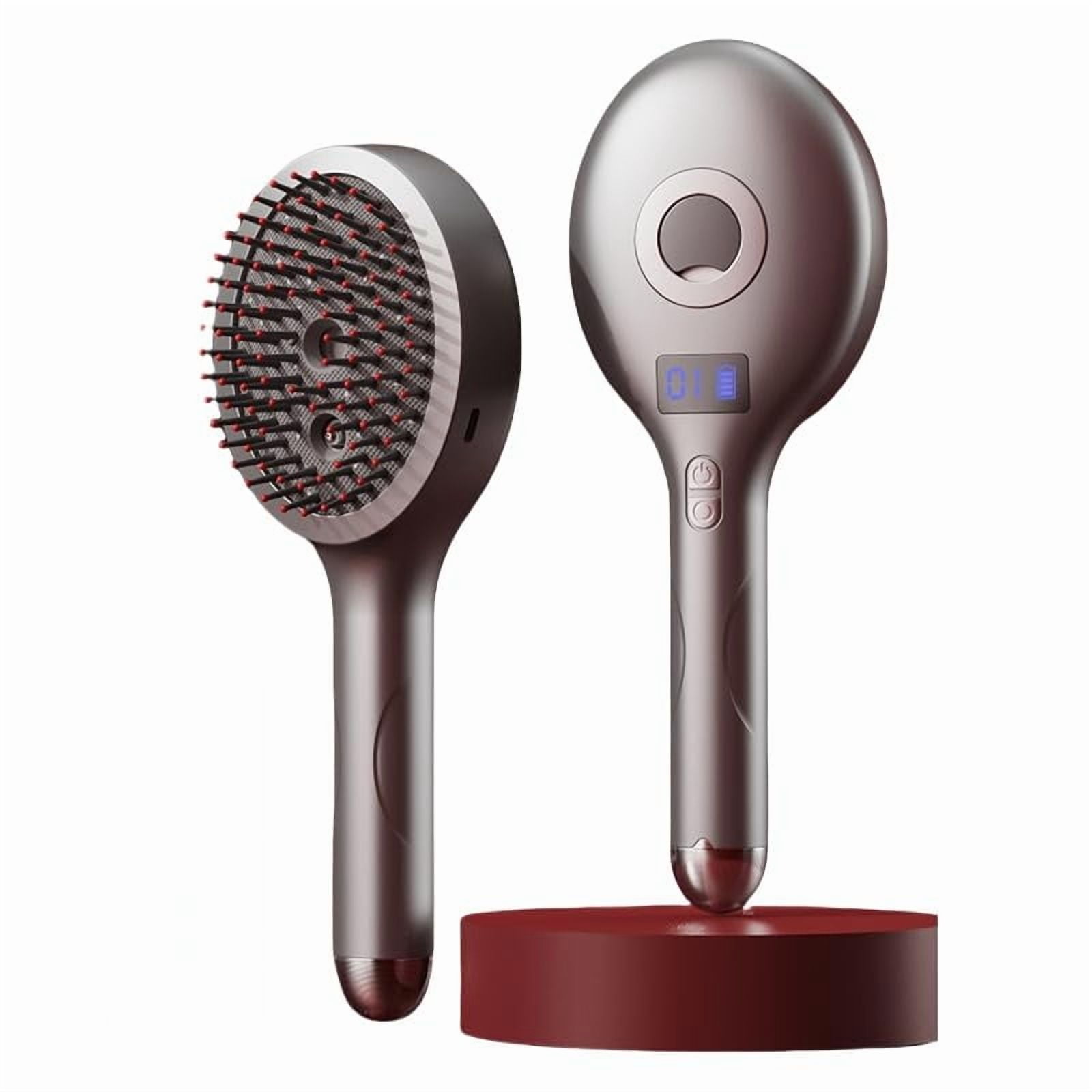 The Ultimate 2-in-1 Styling Brush & Hair Mister, Wet & Dry Tangle-Free ...