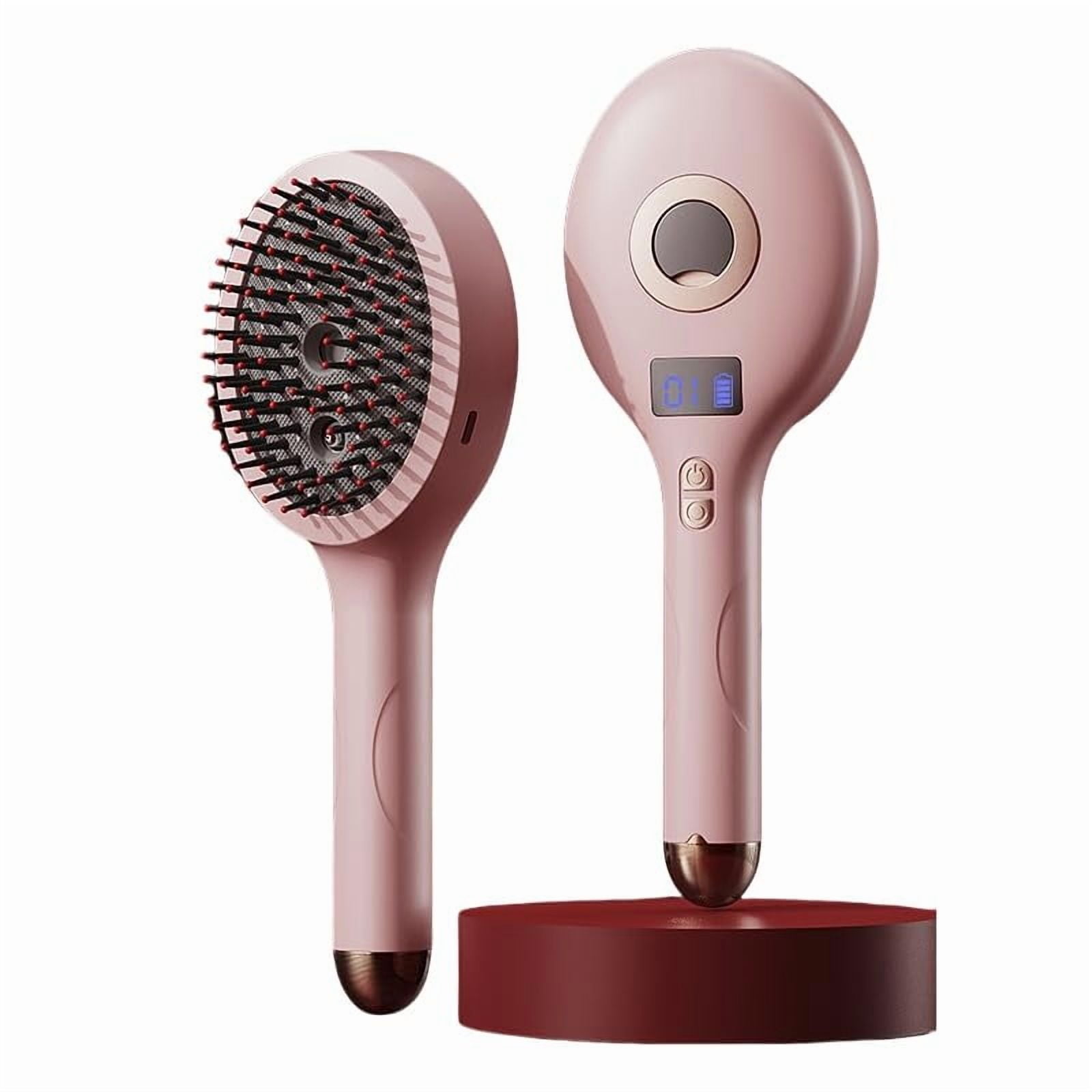 The Ultimate 2-in-1 Styling Brush & Hair Mister, Wet & Dry Tangle-Free ...