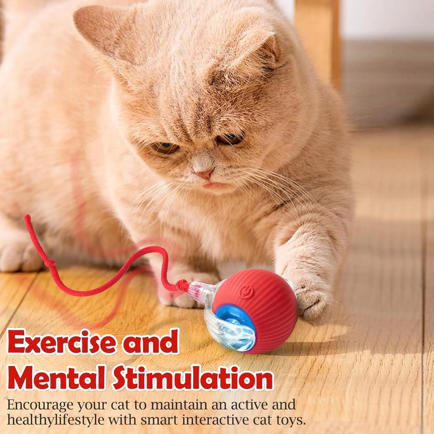 Ultimate Fun Awaits with Our Interactive Cat Toy! Cat Toys for Indoor ...
