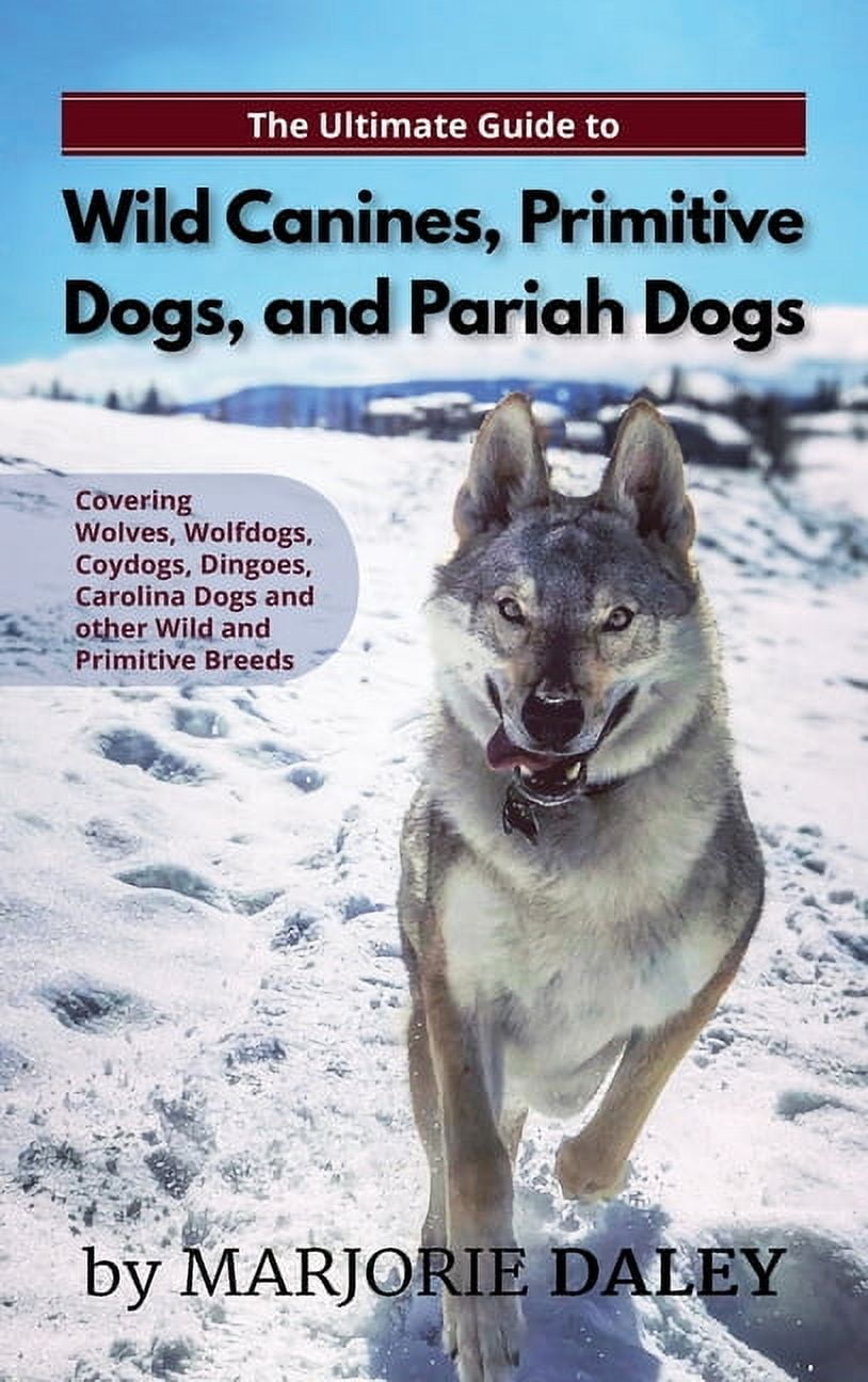 The Ultimate Guide to Wild Canines, Primitive Dogs, and Pariah Dogs: An ...