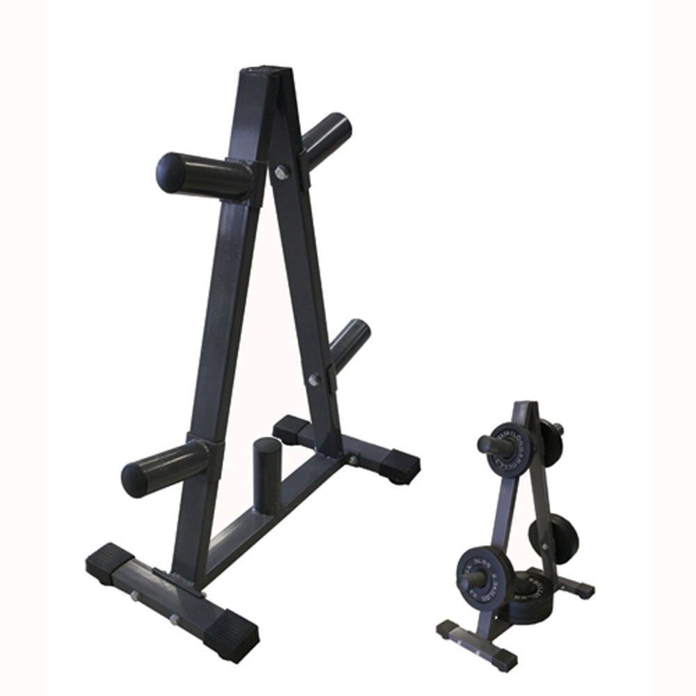 Ultimate Gym Storage Solution: 2 Plate Weight Rack – Organize ...