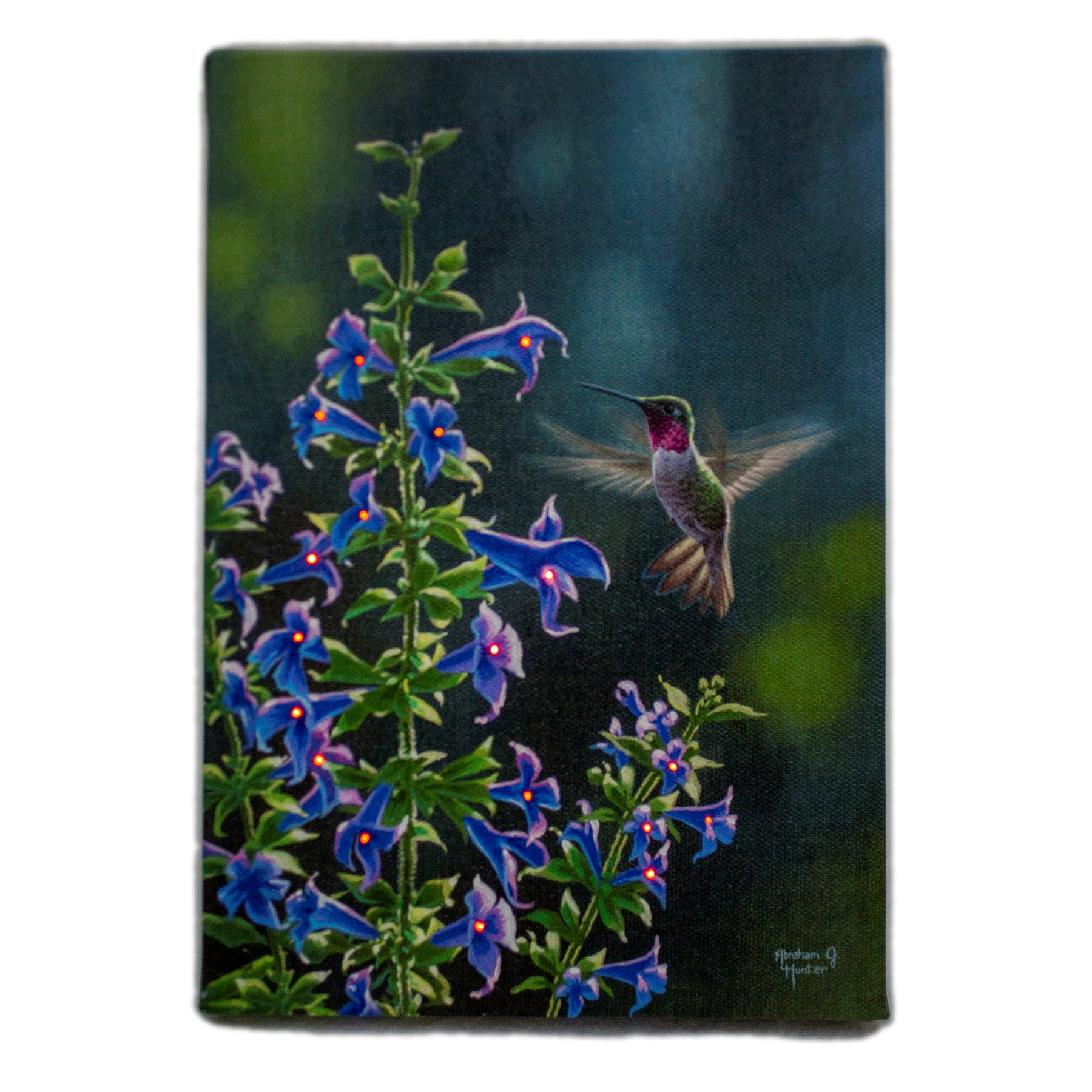 Ultimate Innovations LED Hummingbird Print - Walmart.com