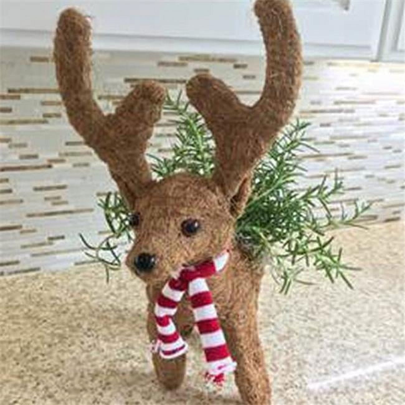 Ultimate Innovations Animal Planter - Reindeer - Walmart.com