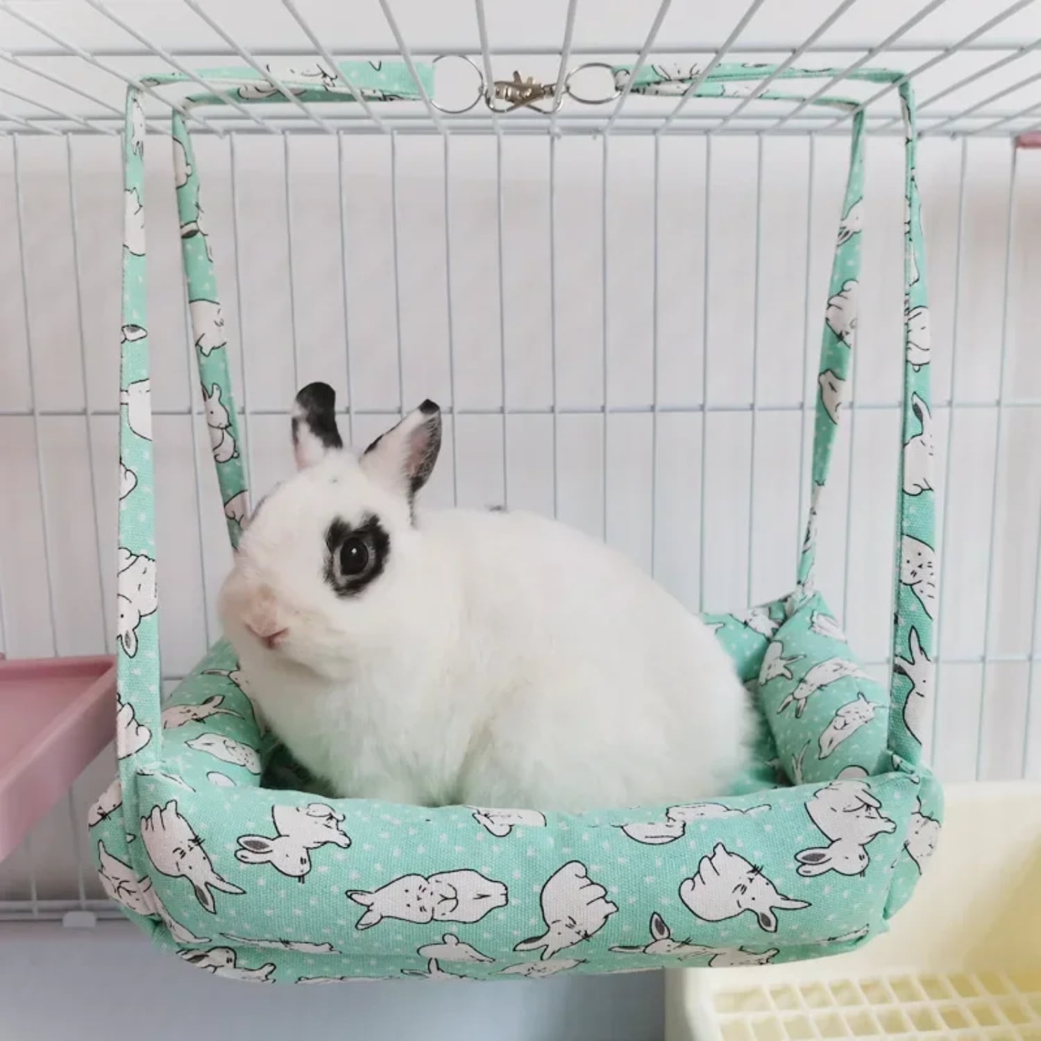 Ultimate Luxurious Cozy Bunny House - Pampering Furry Friends with ...