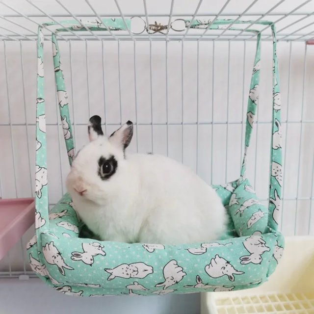 Ultimate Luxurious Cozy Bunny House - Pampering Furry Friends with ...