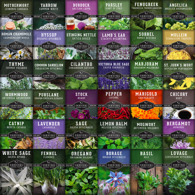 Ultimate Variety Plant Packets - 36 Medicinal Herb Seed Collection for Full Sun Herbs - Walmart.com