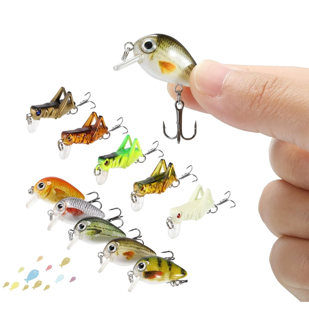 Ultimate Panfish Lure Kit, 10 Micro Hard Baits with Storage Box for ...