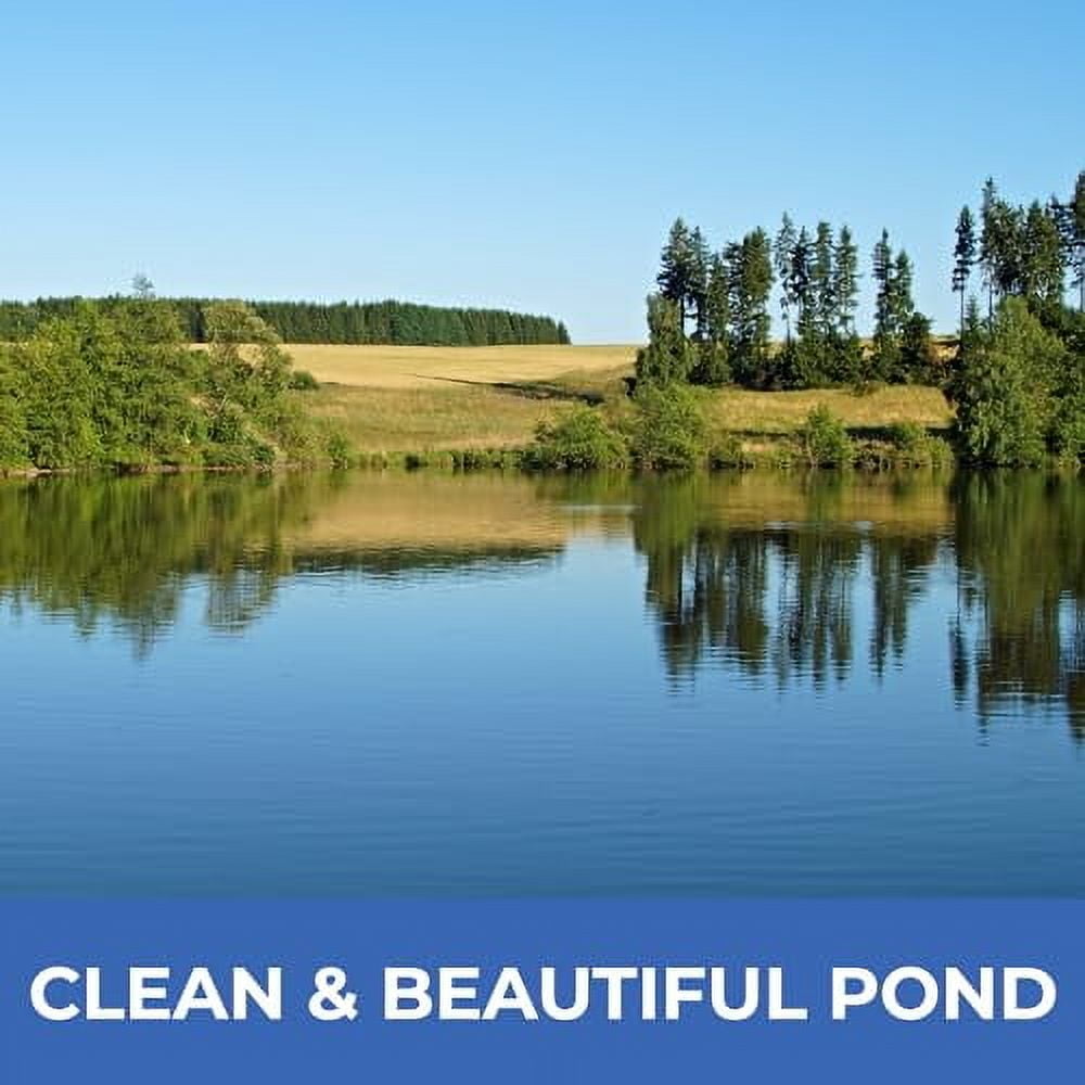 Ultimate Pond Bacteria, Outdoor Pond & Lake Natural Beneficial Bacteria ...