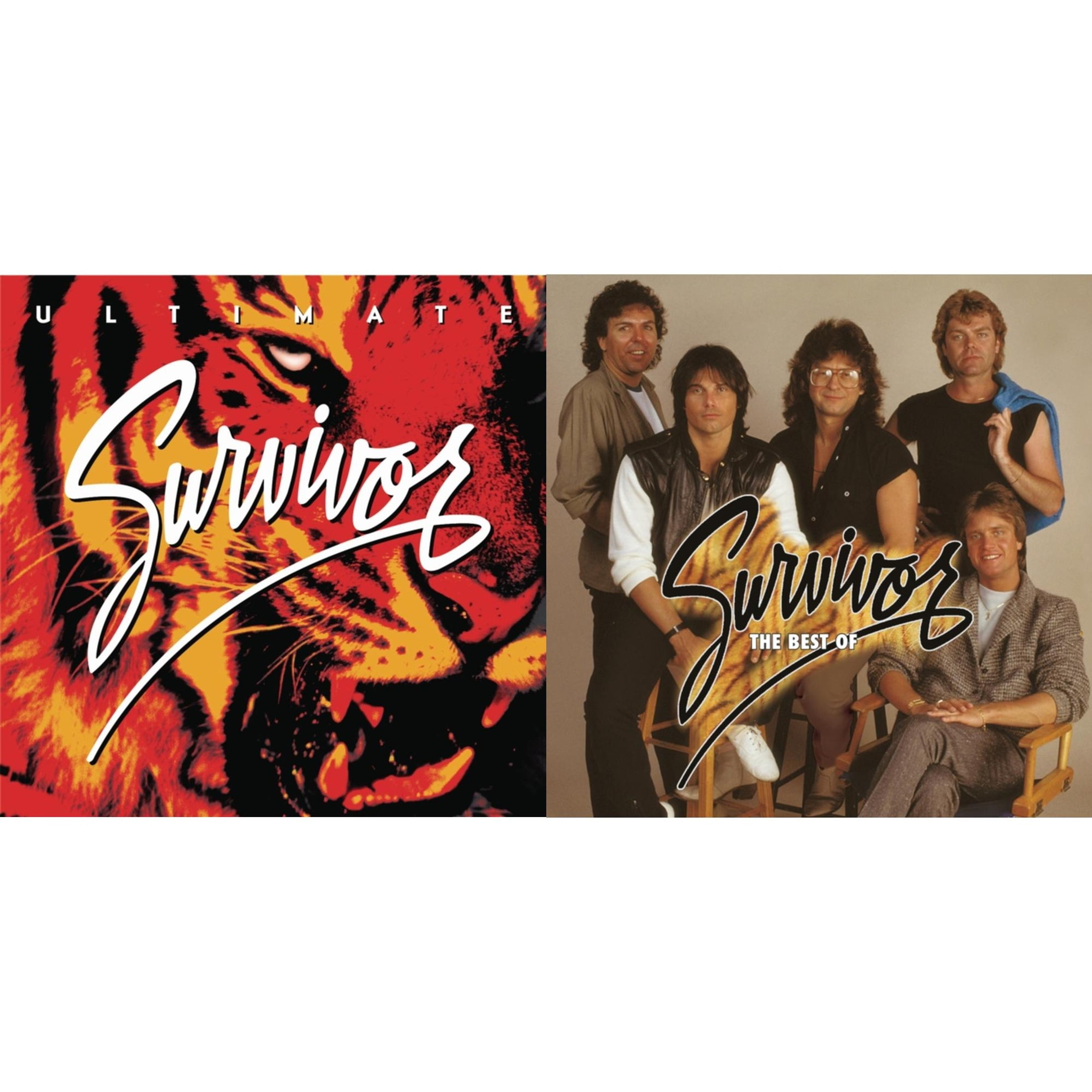 Ultimate Survivor & Best Of Survivor [CD Bundle] - Walmart.com