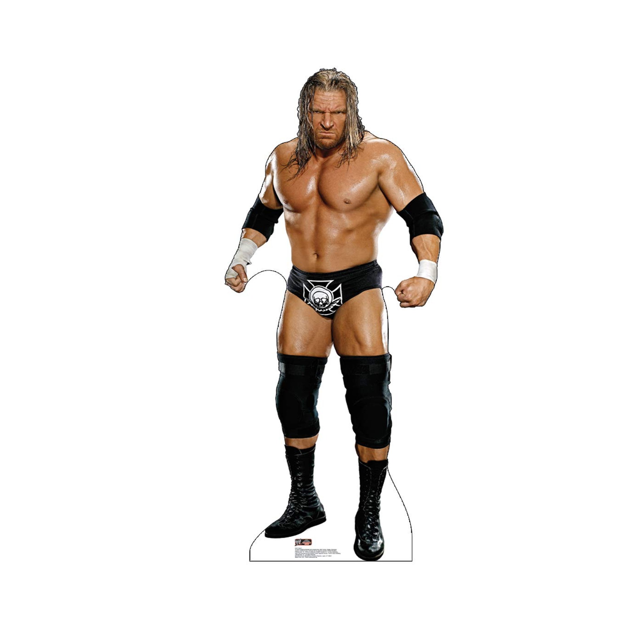 Ultimate Wrestling Hero Standee - Life Size Cutout of Triple H for WWE ...