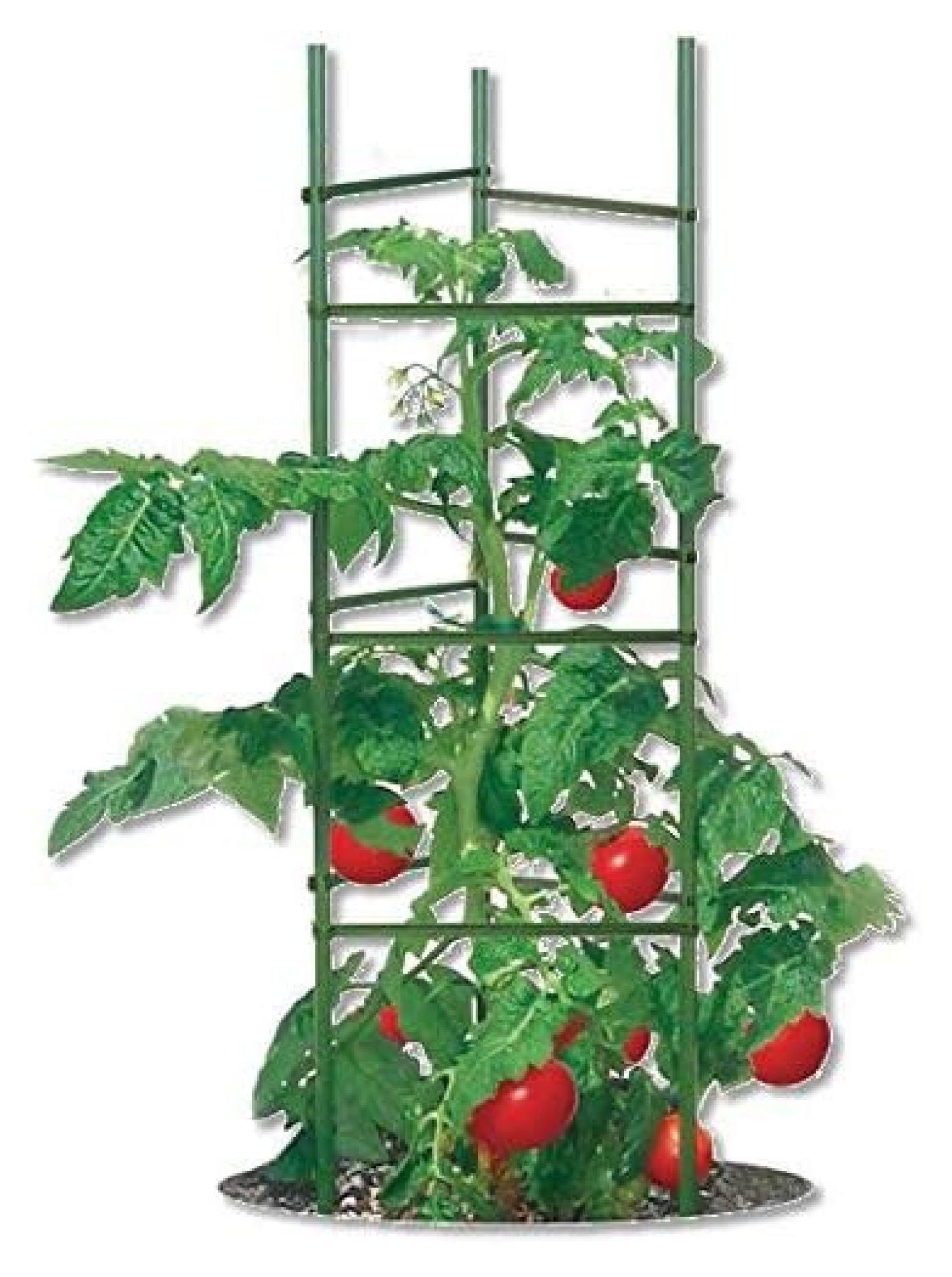Ultomato TMC60 Plant Cage System - Quantity 10 - Walmart.com