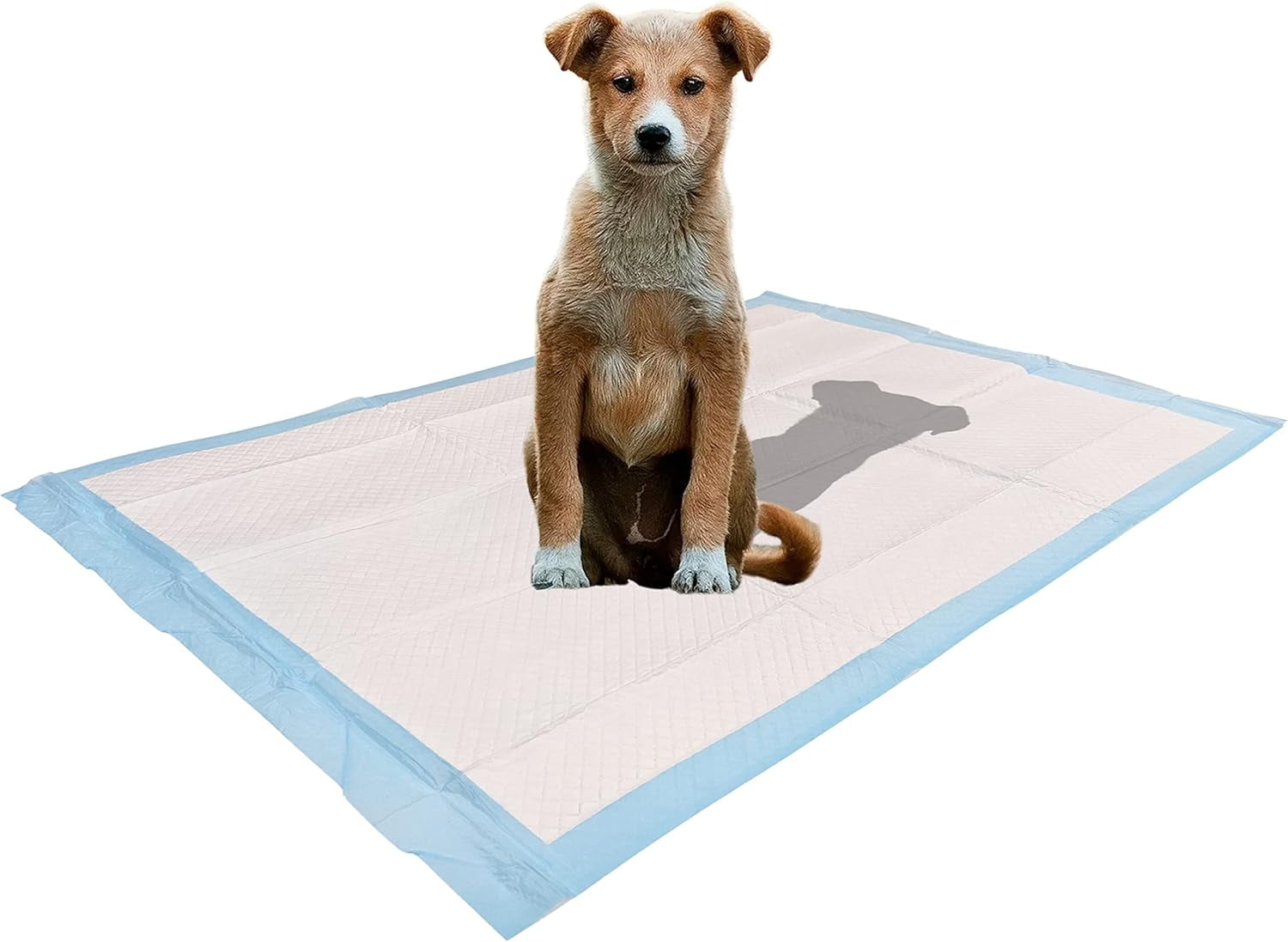 Ultra Absorbent - Leak-Proof Pee Pads for Dogs Rabbits and Cats (5 ...