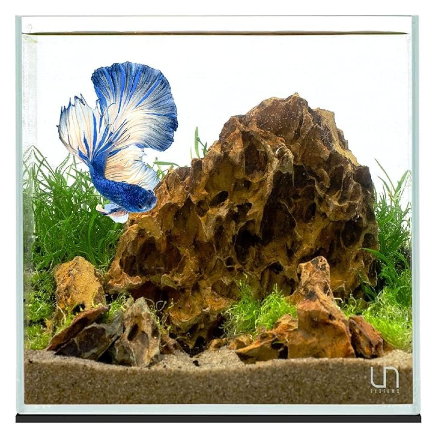 Ultra Clear Rimless Aquarium - Low Iron Glass Fish with 45° Mitered ...
