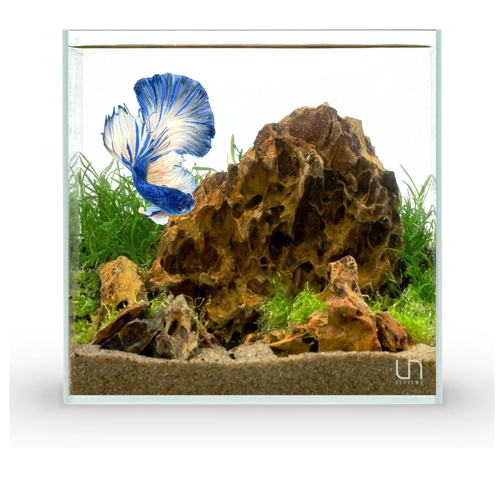 Ultra Clear Rimless Aquarium - Low Iron Glass Fish with 45° Mitered ...