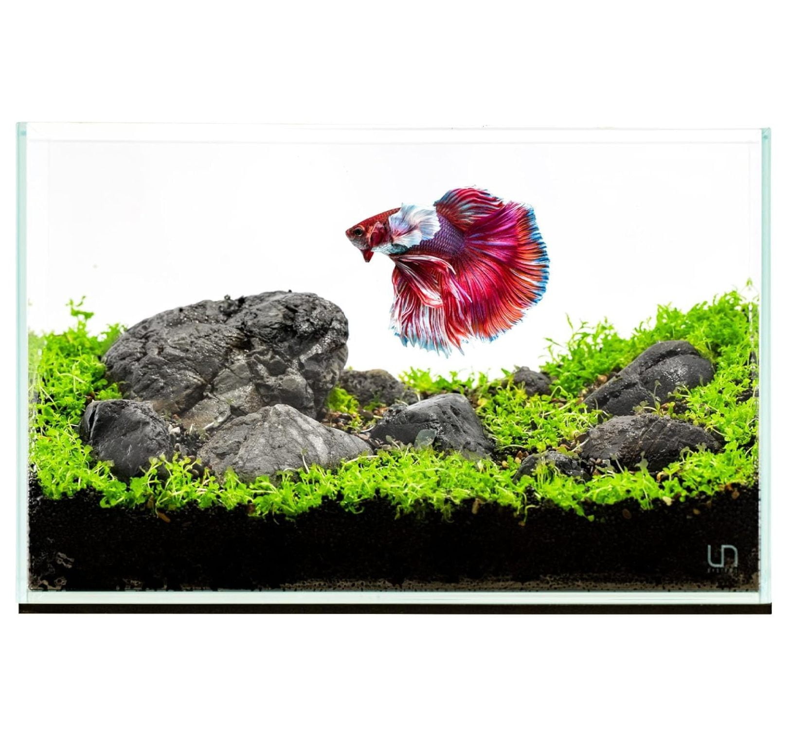 Ultra Clear Rimless Aquarium - Low Iron Glass Fish with 45° Mitered ...