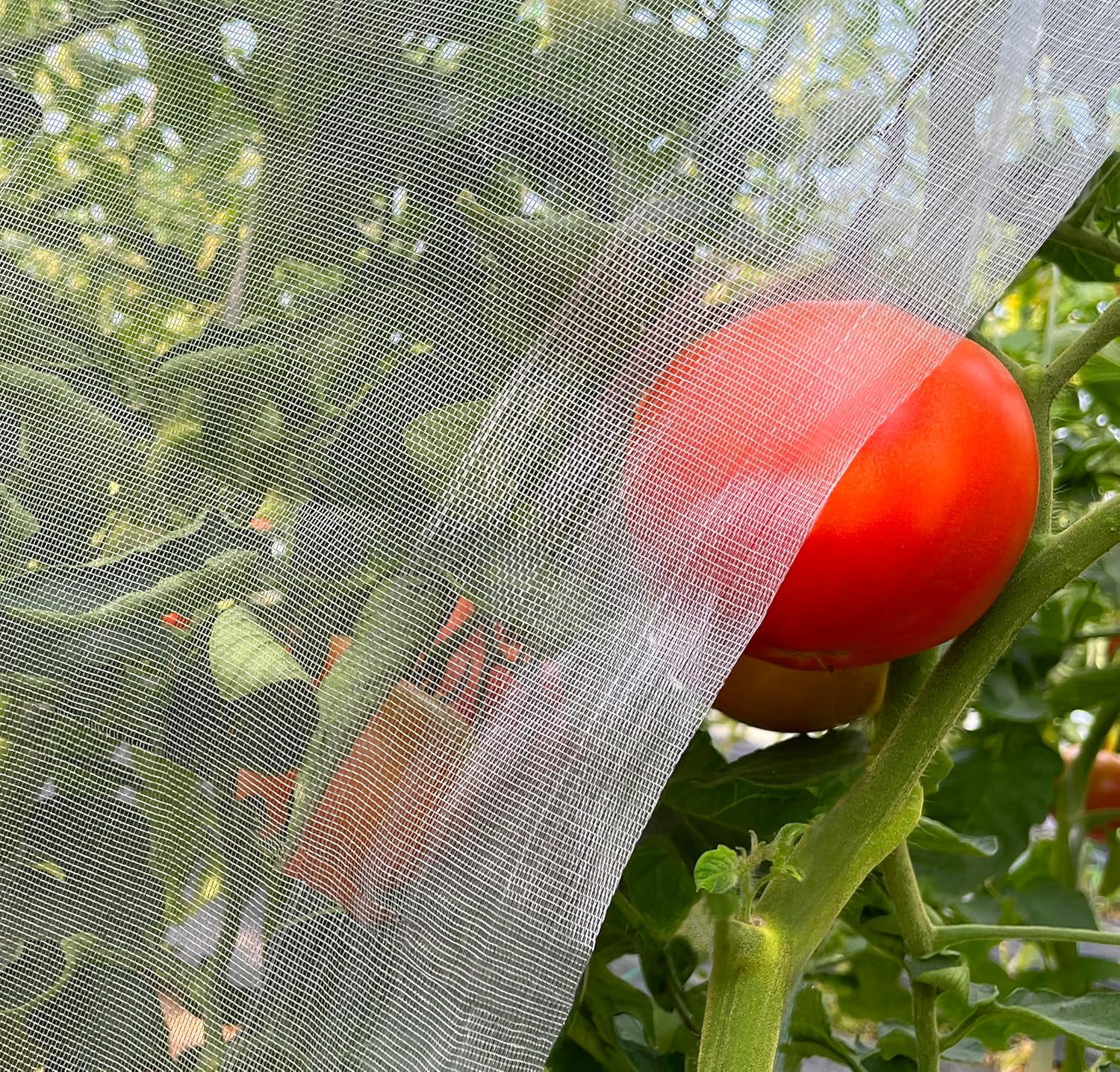 Ultra Fine Garden Netting 4'x10' Plant Pest Barrier Covers Bird Patio ...