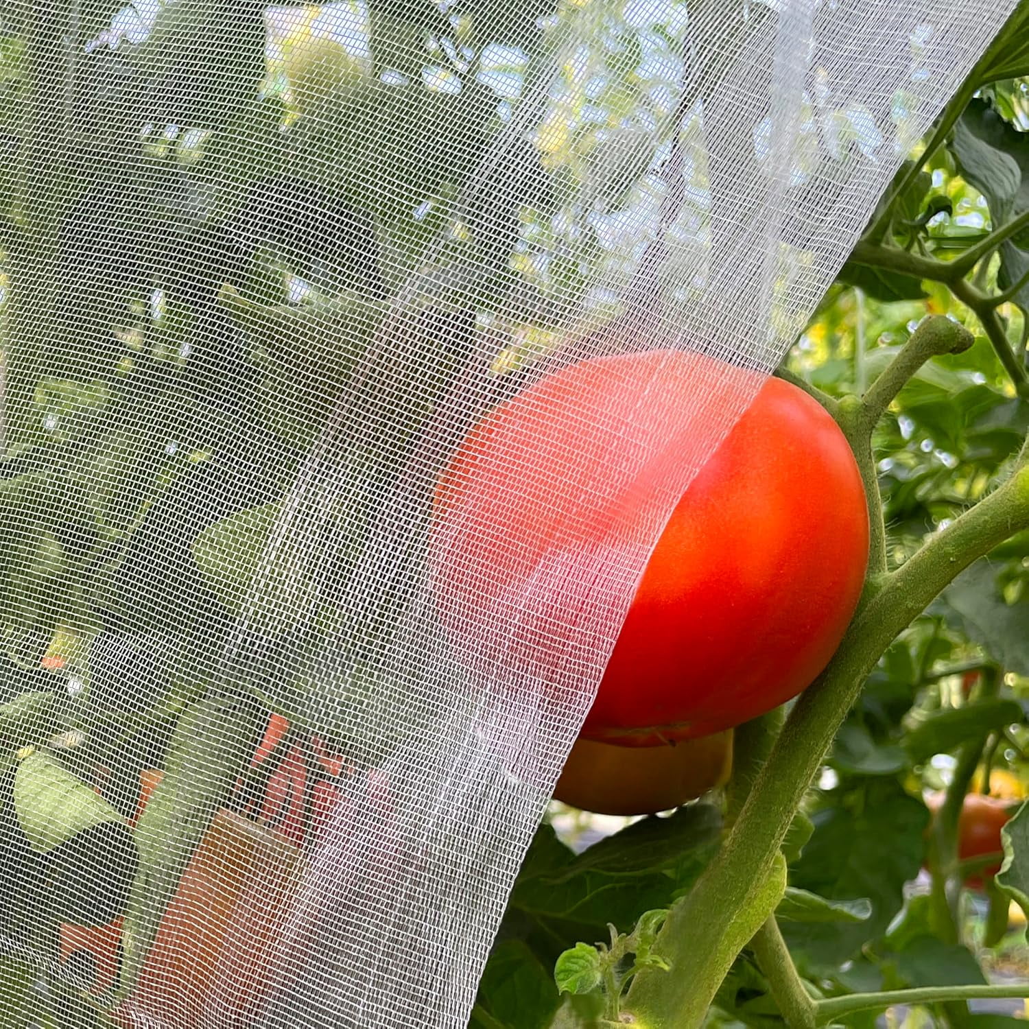 Ultra Fine Garden Netting Plant Pest Barrier Covers Bird Patio Mosquito Netting Tree Vegetable ...