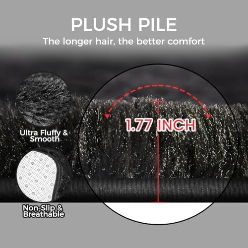 Ultra Soft Rug for Living Room, 8X10 Fluffy Shag Area Rug for Bedroom ...
