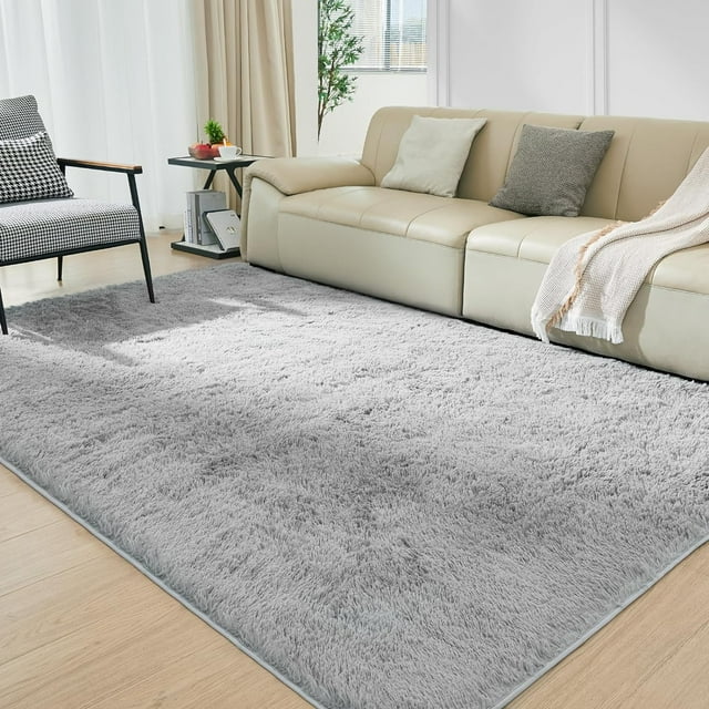 Cshidworld Ultra Soft Rug for Living Room, 5X8 Fluffy Shag Area Rug for ...