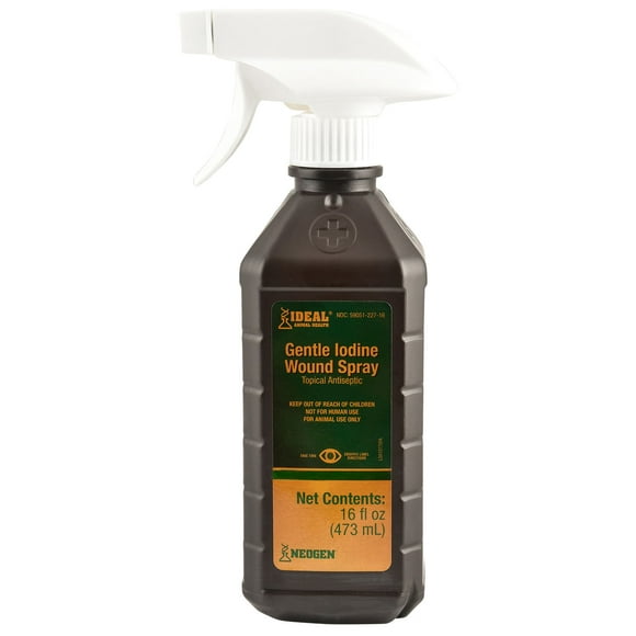 Iodine in First Aid - Walmart.com