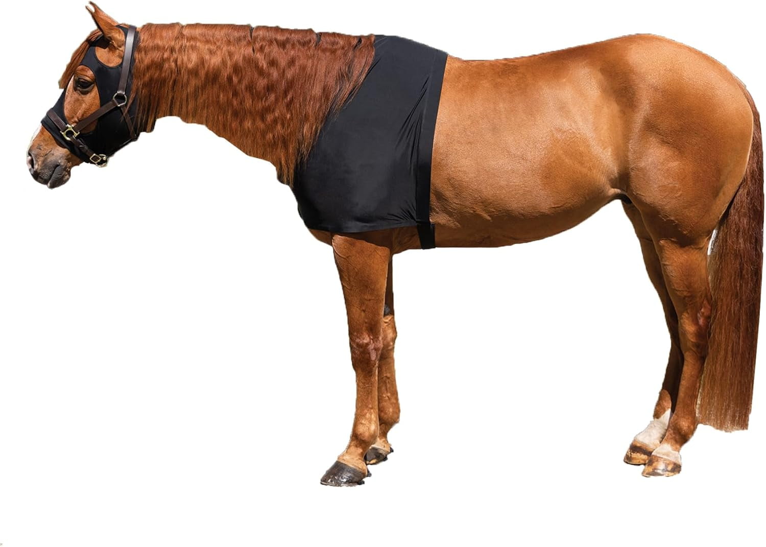 UltraFlex Forelock and Mane Saver Full Zipper Horse Slicker Hood ...