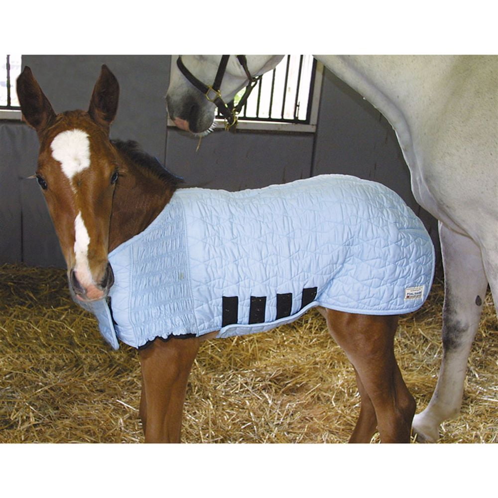 UltraFlex Foal Saver Lightweight Blanket | Blue | Size Small (Arabian ...