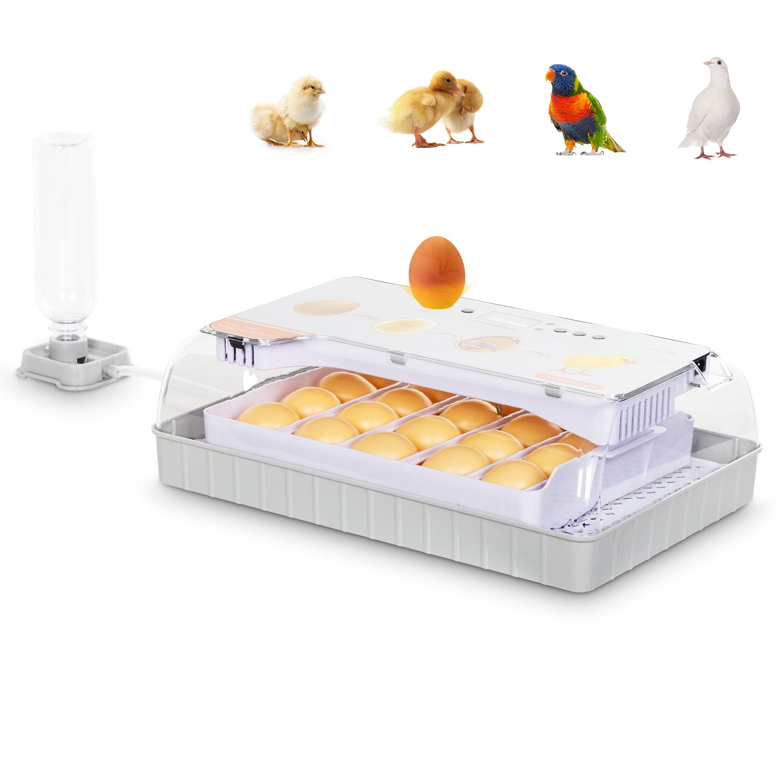Egg Incubator, 9-20 Eggs Fully Automatic Poultry Hatcher Machine with ...
