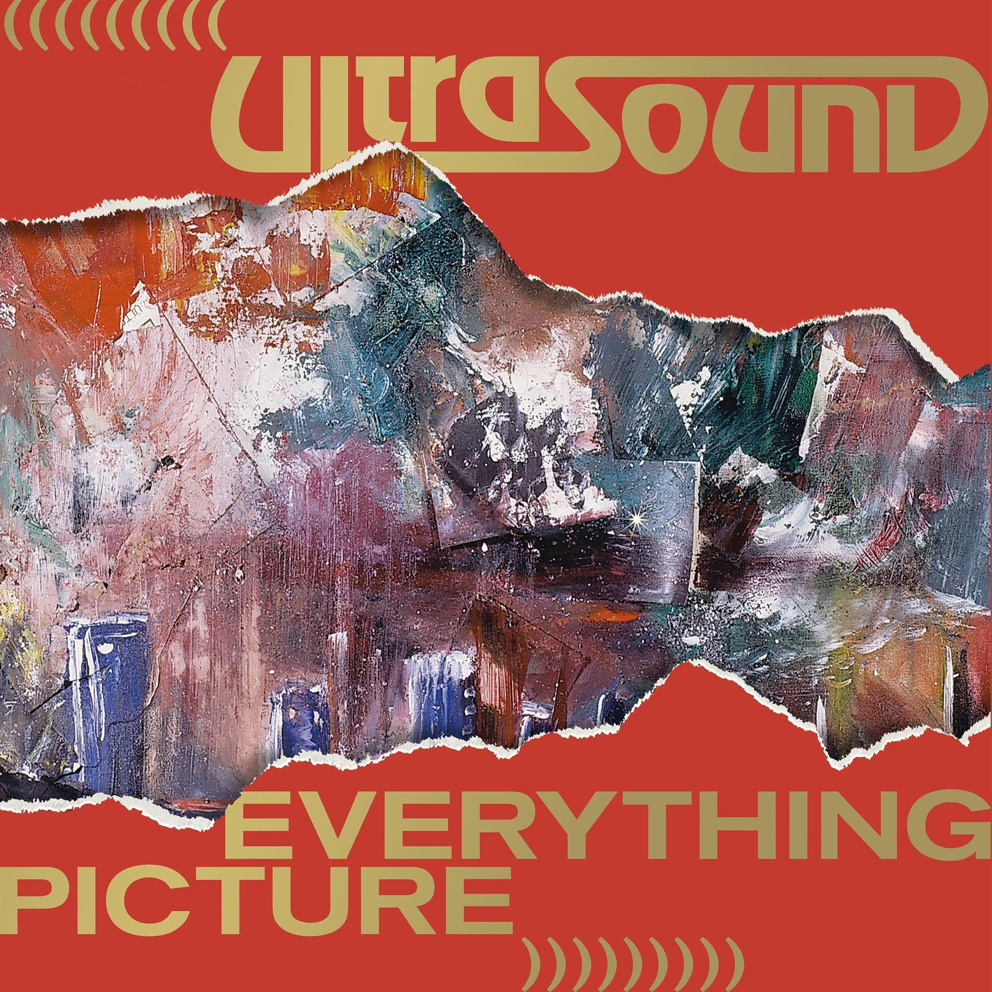 Ultrasound - Everything Picture - Music & Performance - Vinyl - Walmart.com
