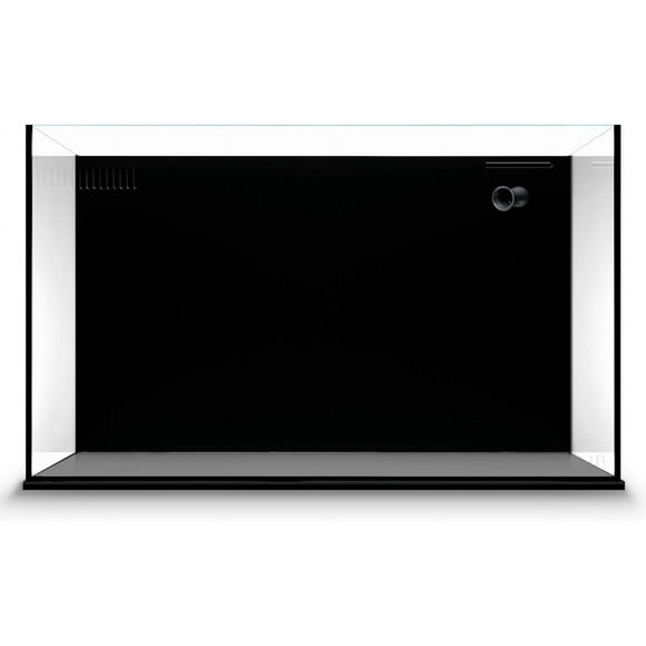 60 Gallon Saltwater Tank