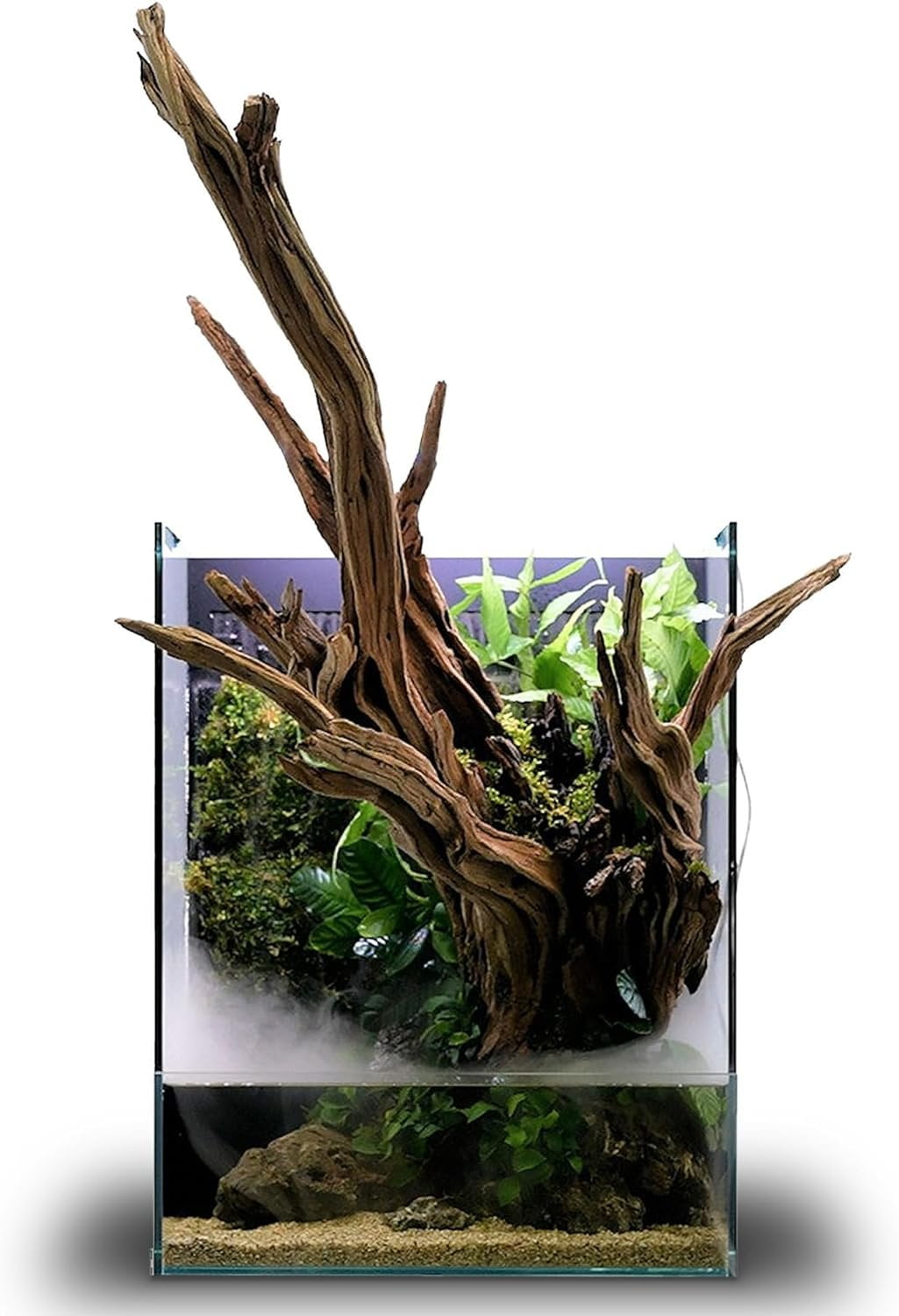 Ultum Nature Systems Foresta Integrated Paludarium Tank - All in One ...