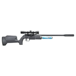 Daisy Model 499b Champion - .177 Cal Competition Air Rifle BB Gun, Max ...