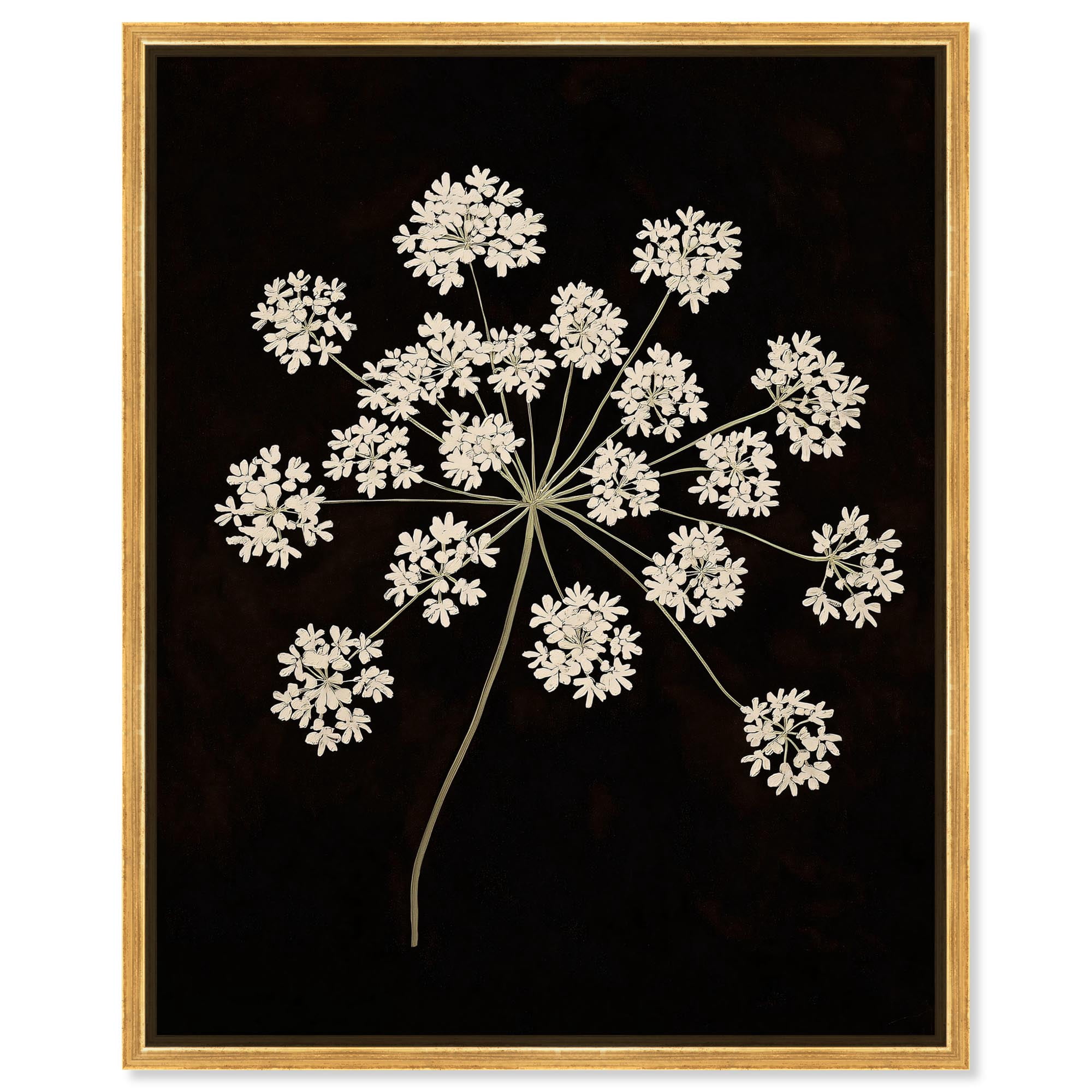 Umbel of Light II Canvas Dark Elegant Florals by Art Remedy, Gold Frame ...