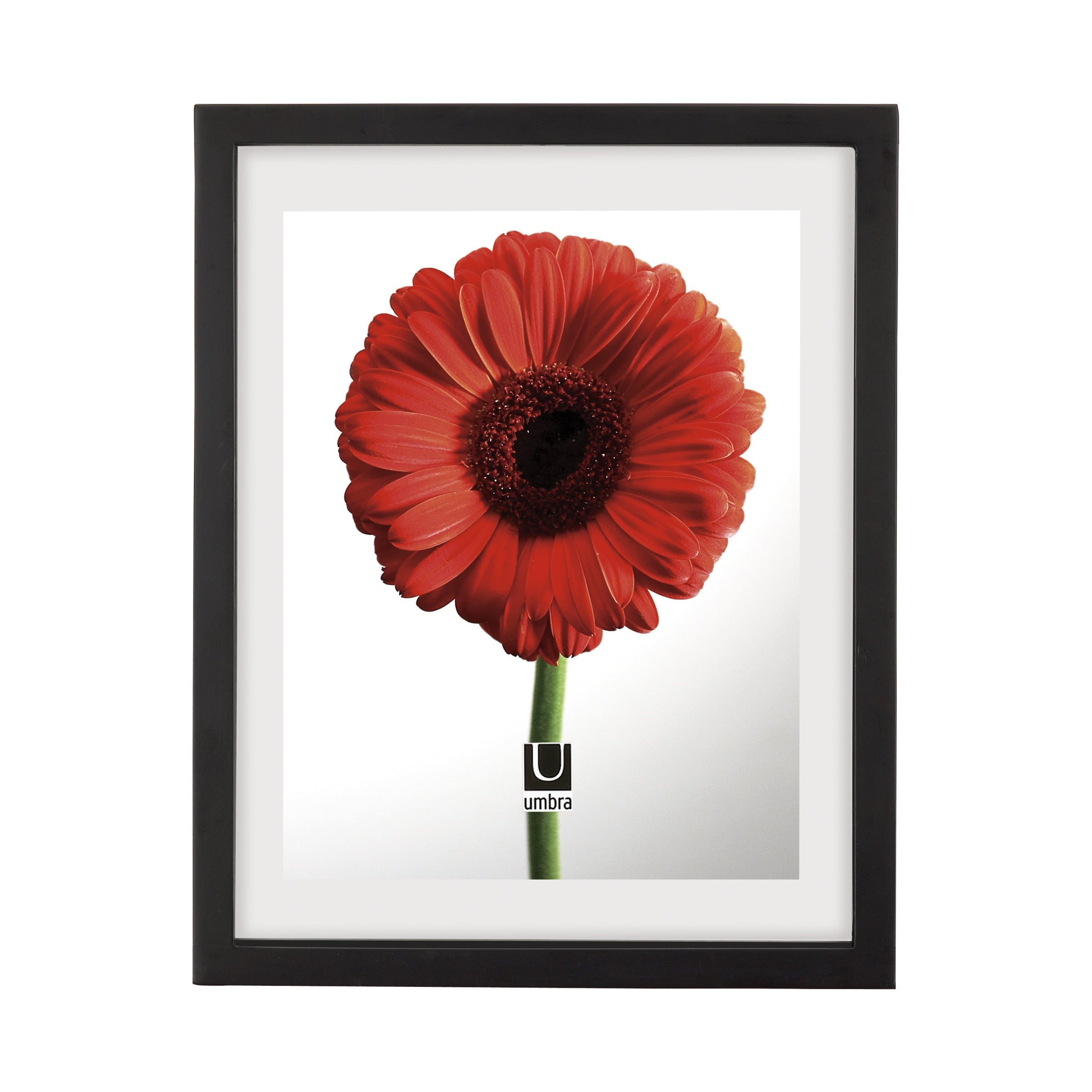 Umbra 11x14 inch Document Frame (2-Pack) for Displaying 8.5x11 inch or ...