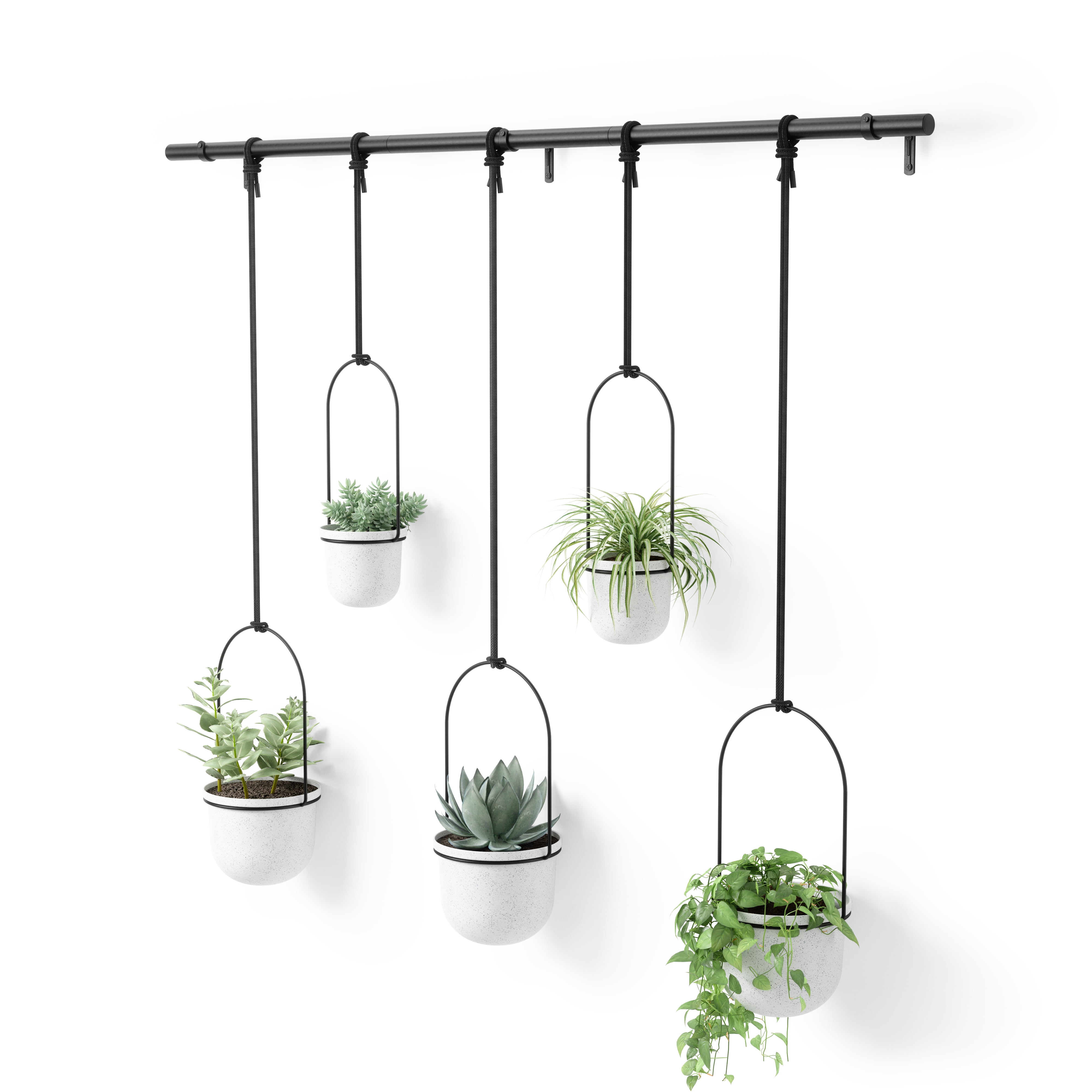 Umbra Triflora Wall-Mounted Hanging Planter Set of 5, White, for Herbs ...